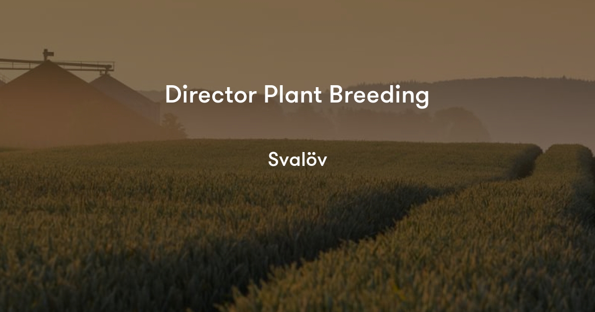 Director Plant Breeding - Lantmännen Agriculture | Jobylon