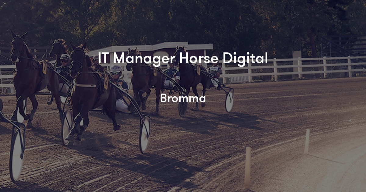IT Manager Horse Digital - ATG | Jobylon