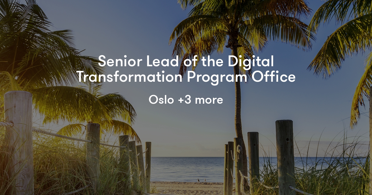 Senior Lead of the Digital Transformation Program Office - Apollo | Jobylon