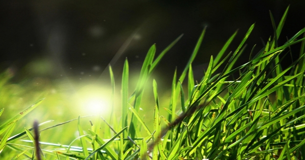 Avanture AB | Jobylon