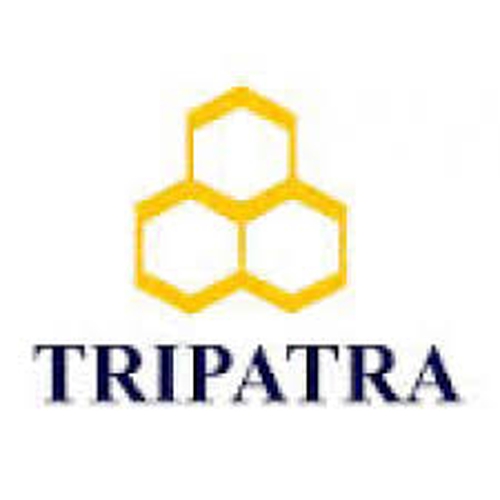 Schedule Analysis - TRIPATRA | Jobylon